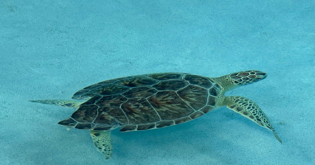 Navarre Florida, weather, what do, and more - Scributors