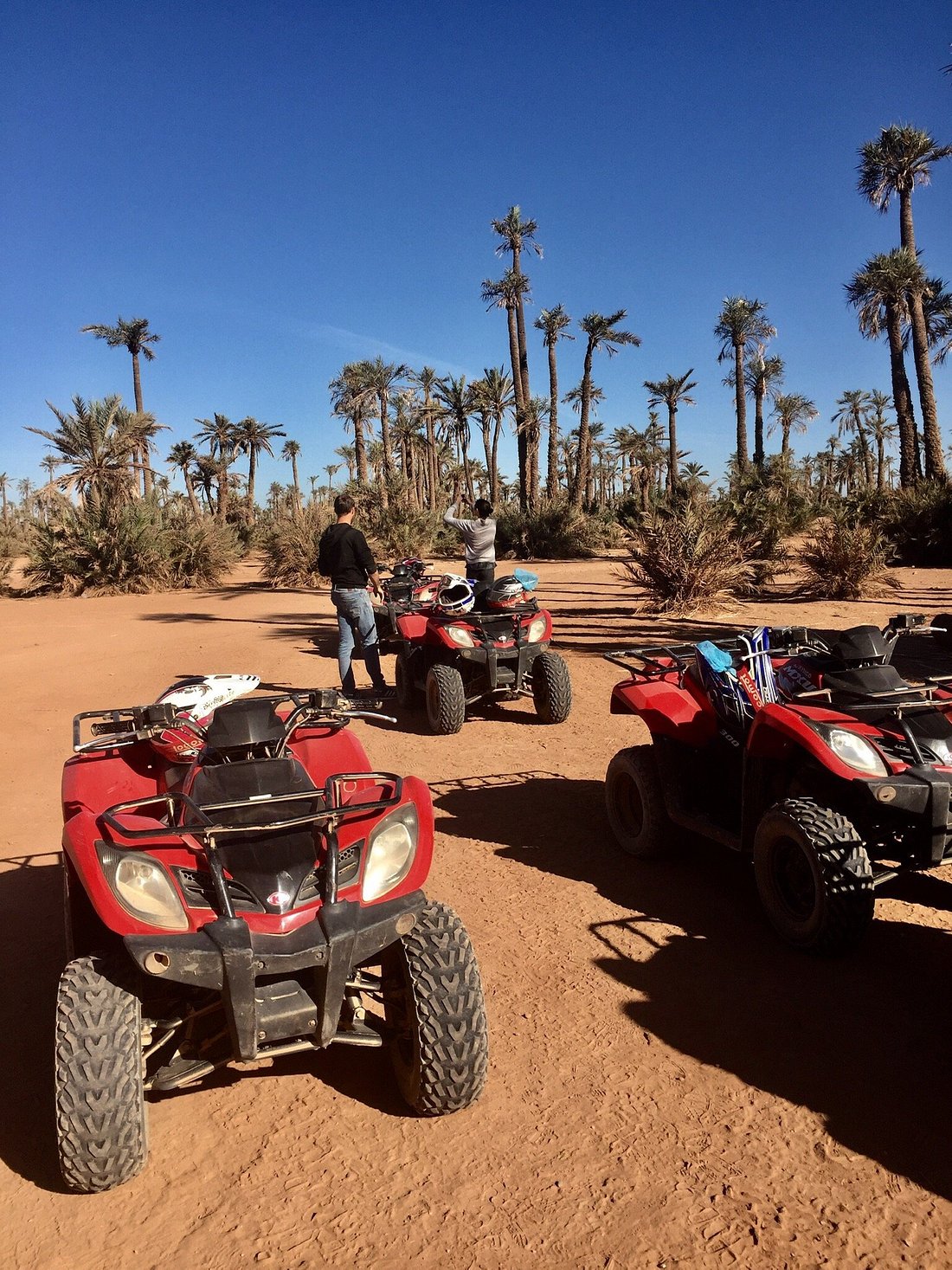 Quad Biking In Marrakech: Experience The Thrill Of a Lifetime - Scributors